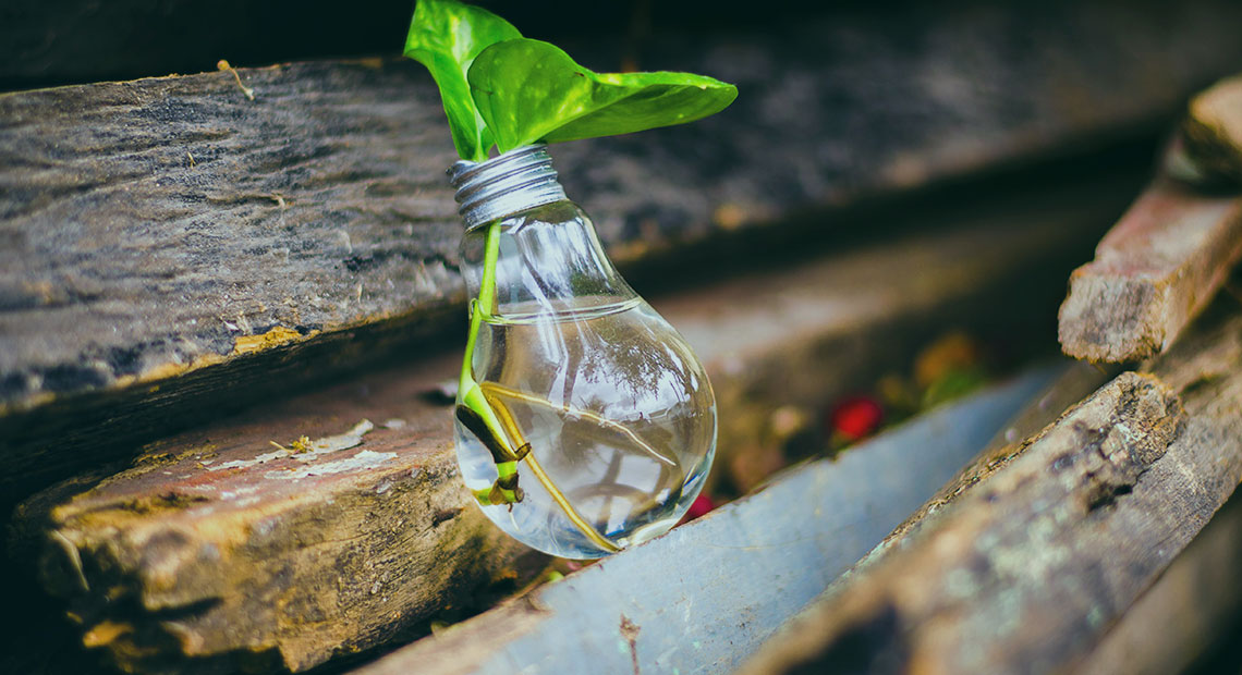 Investment questions to help you become a better investor - Equito